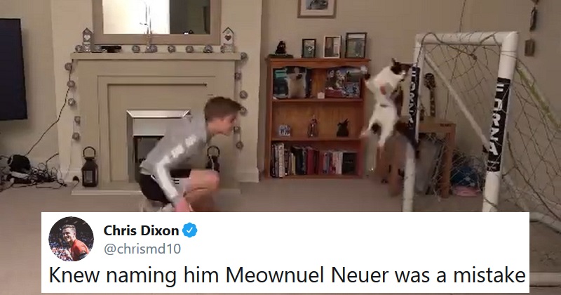 This video of a cat has gone viral because of its stunning goalie ...