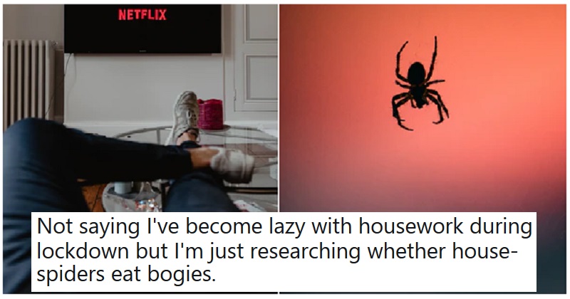 Lockdown laughs: 10 things we've learned from nearly two months of ...