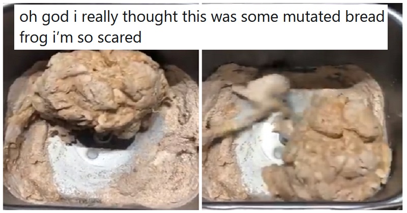 This reaction to a video of bread dough went viral because everybody ...