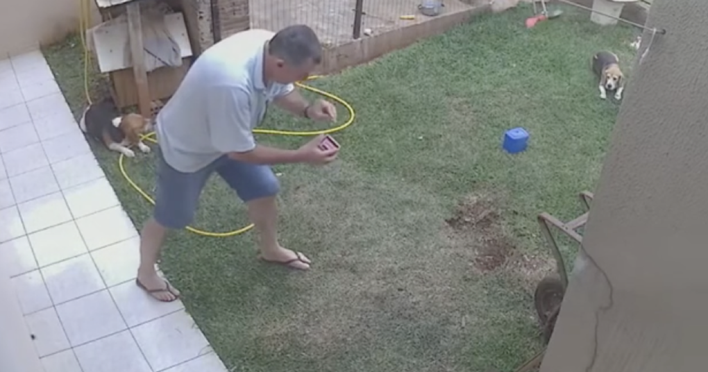 'Guy blows up his back yard attempting to get rid of a cockroach ...