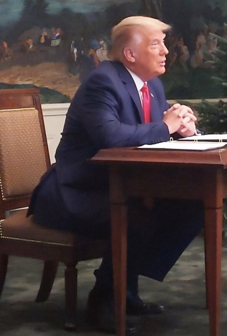 'Diaper Don' trended worldwide and Trump spitting out his dummy made it ...