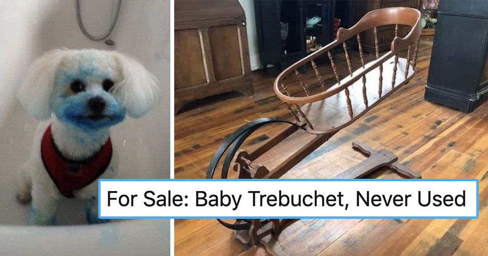 The 25 funniest tweets of the week - The Poke