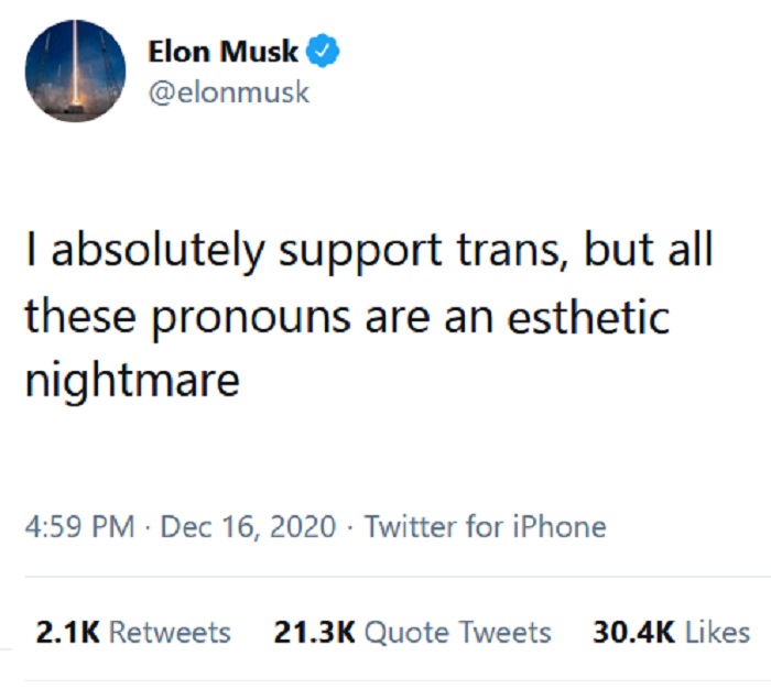 Elon Musk's complaint about pronouns set him up for one particularly ...