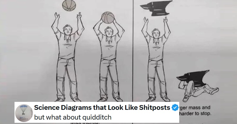 'Science Diagrams That Look Like Shitposts' does what it says on the ...