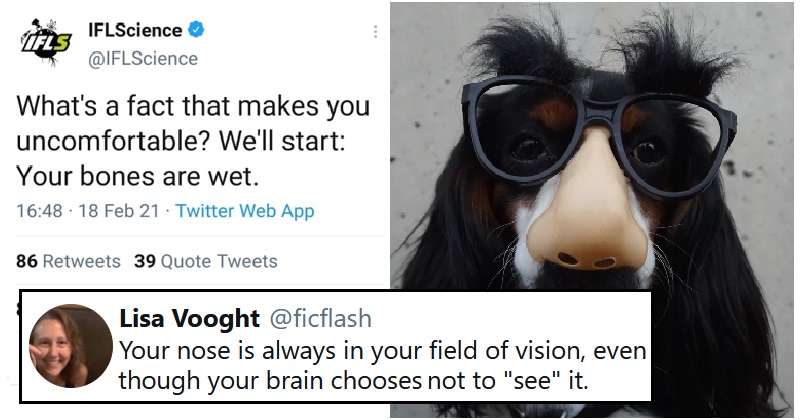 These 15 (mostly) scientific facts make people a little uncomfortable ...