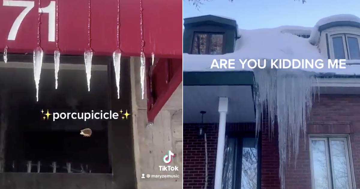 This very funny guide to 'Montreal's deadliest icicles' is a proper eye ...