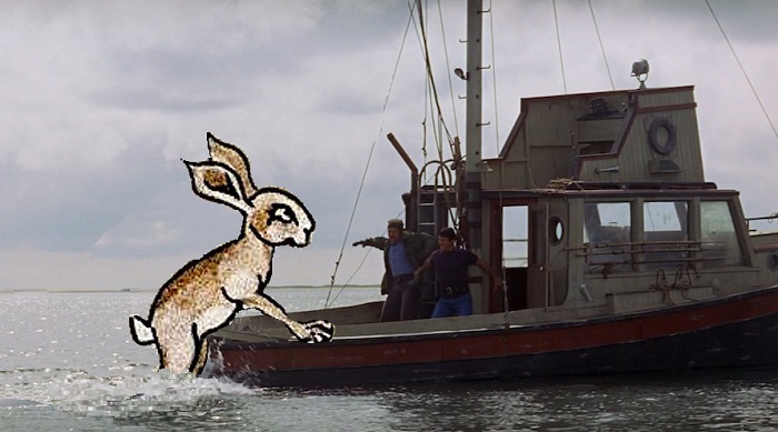 rabbits - The Poke - The Poke