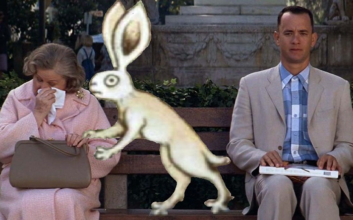 rabbits - The Poke - The Poke