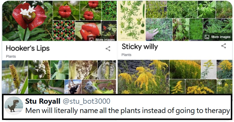 This thread of hilarious plant names suggests botanists are not okay ...
