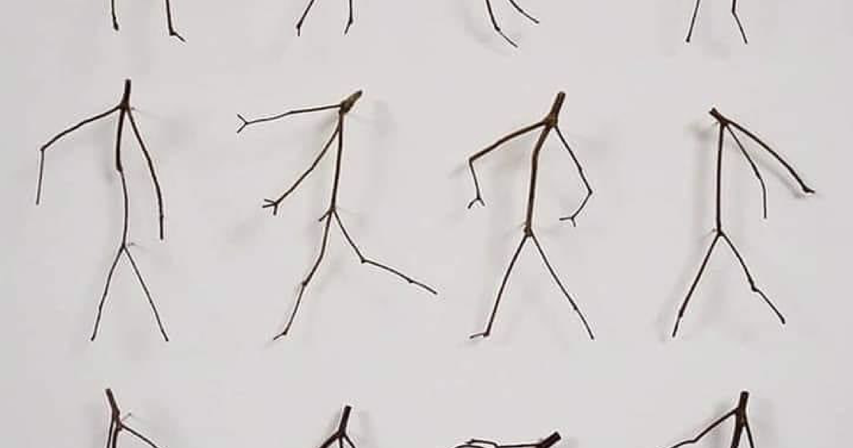 This collection of twigs that look like they're dancing went viral ...