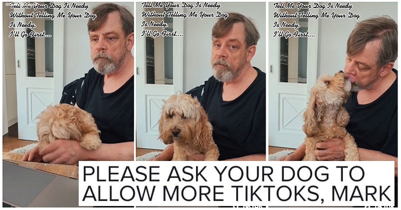 Mark Hamill's first TikTok was made even better by the presence of his ...