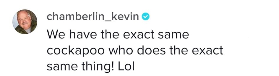 Mark Hamill's first TikTok was made even better by the presence of his ...