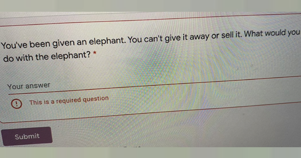 This bizarre job application question about an elephant went viral - 13 ...