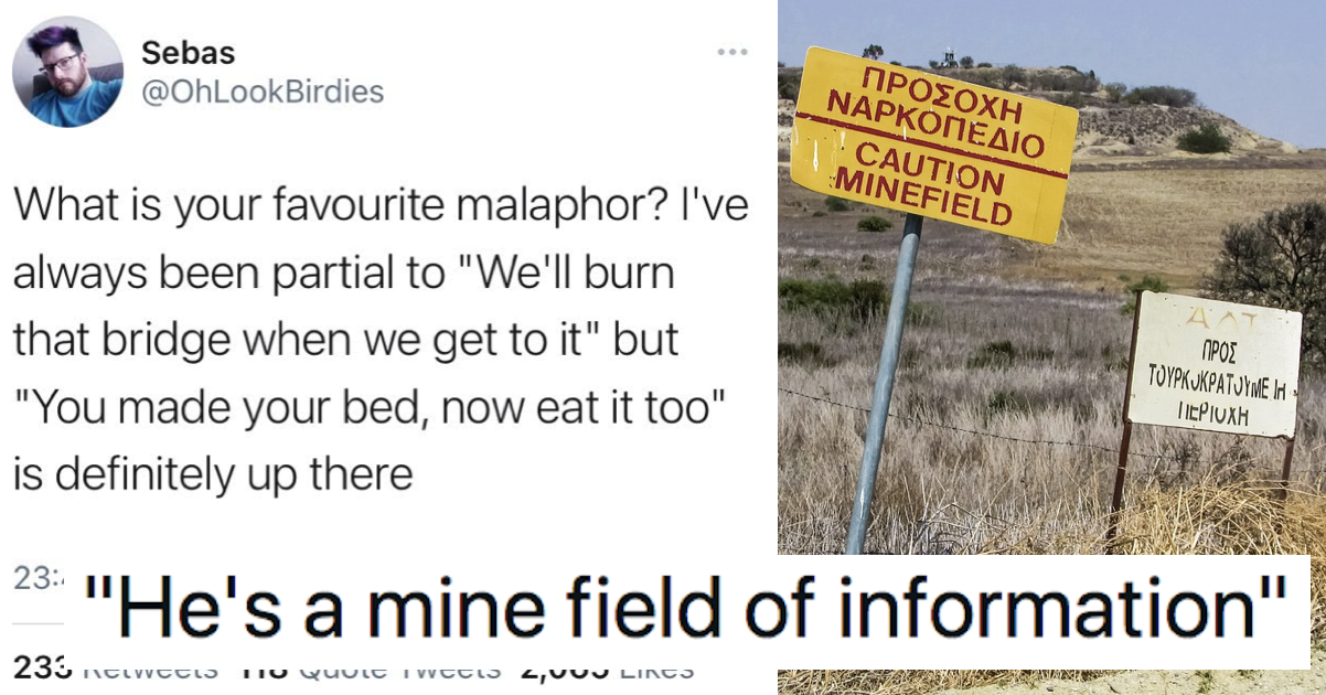 People are sharing their favourite 'malaphors' - 17 proper belters ...