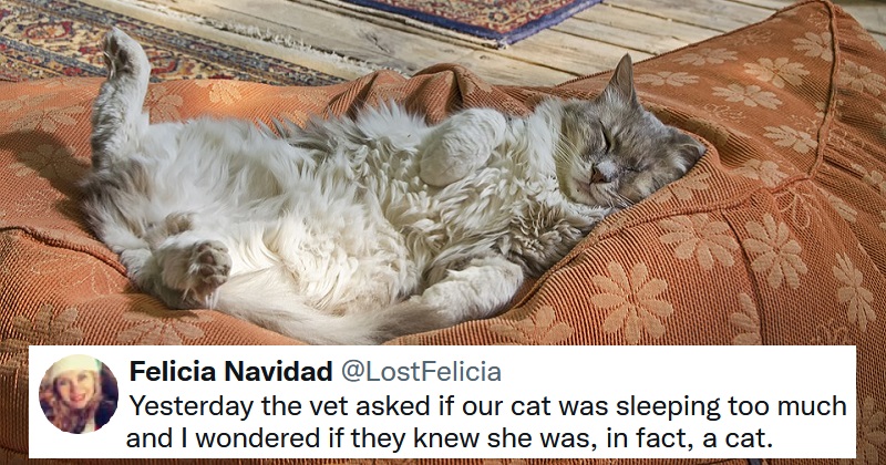 Our favourite funny tweets of 2021 - Part 2 - The Poke