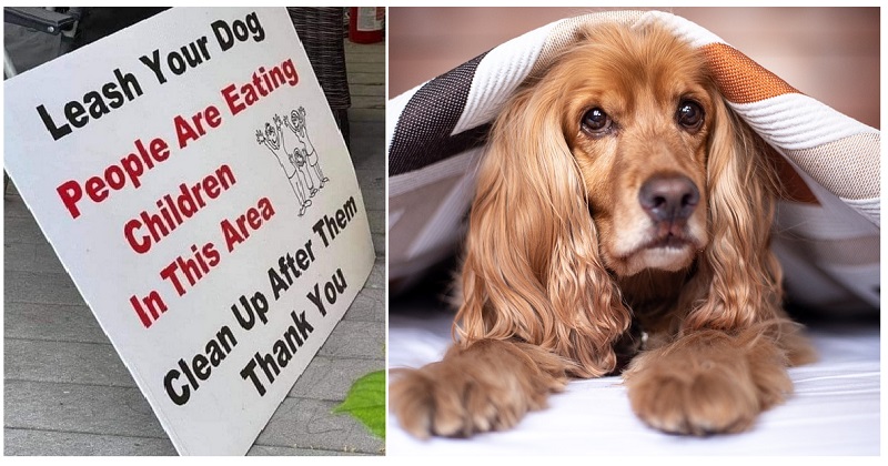 13 punctuation fails that put a very different spin on the meaning ...