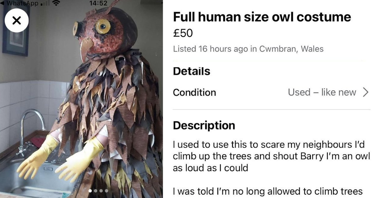 This eye-popping 'full human size owl costume' for sale is making ...