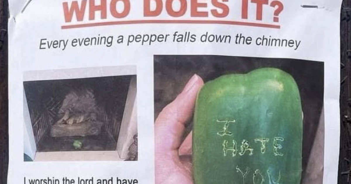 This 'pepper down the chimney' appeal is amusing and bemusing in equal ...