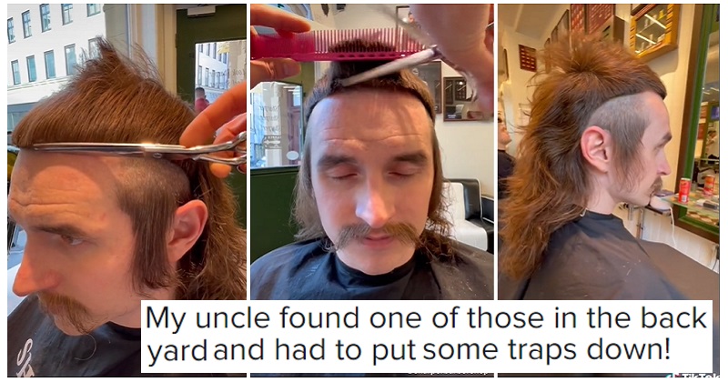 hair - The Poke - The Poke