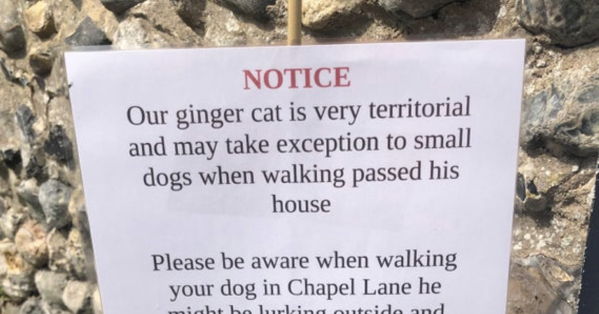 People love this most British of notices warning dog owners about this ...