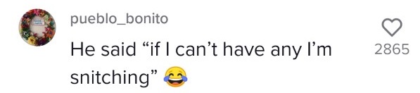 Nobody likes a snitch - unless it's a cute Australian cattle hound ...