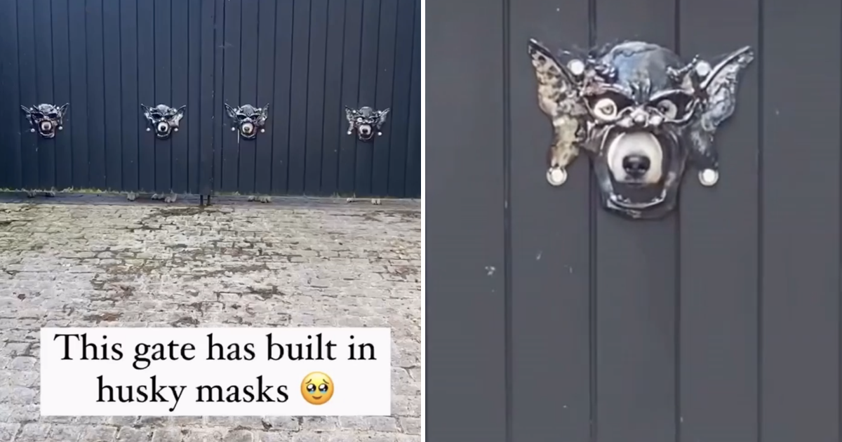 This gate has built-in husky masks for their dogs and it's simply ...