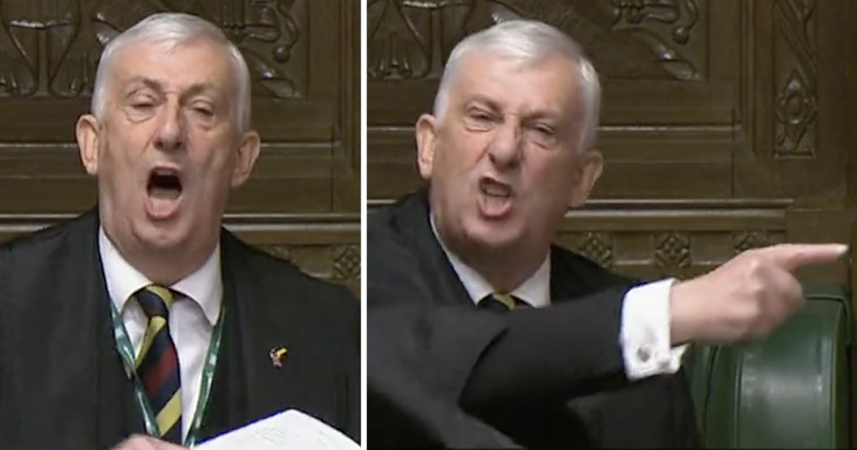 hoyl - The Poke - The Poke