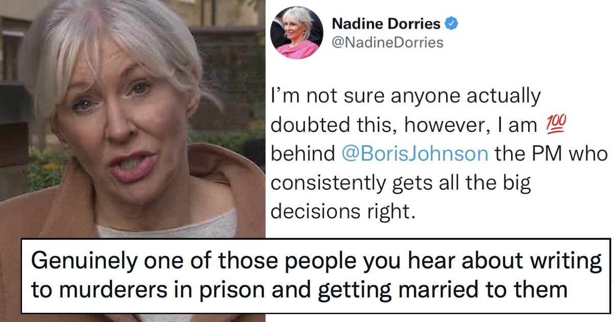 NDDD4 - The Poke - The Poke