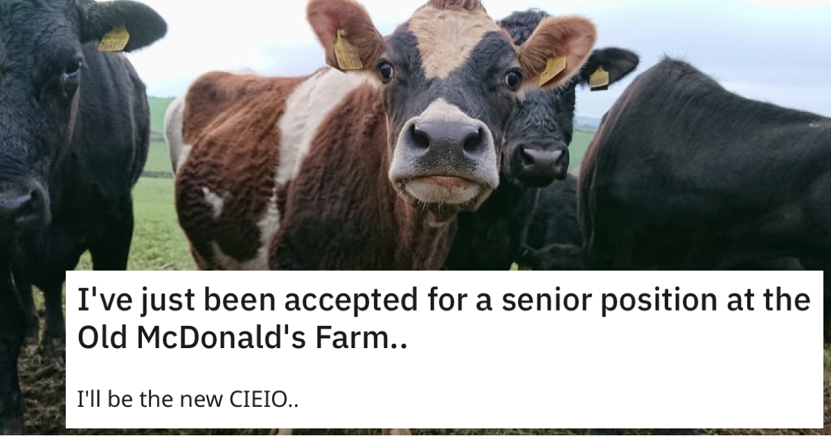 23 hilarious dad jokes to help escape the hell of it all for a moment ...