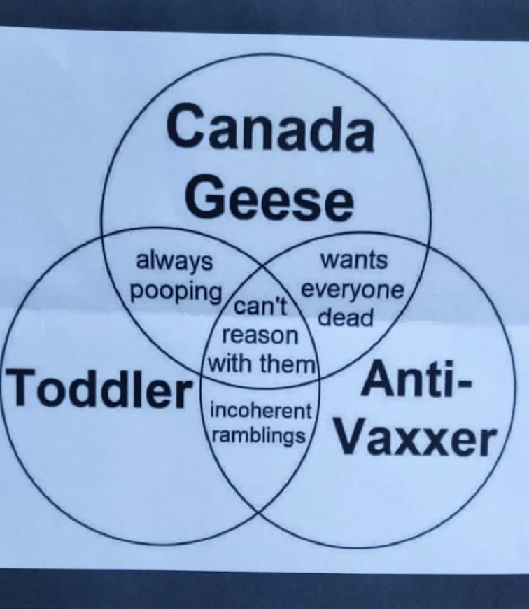 Simply 17 funny Venn diagrams to make your day just a little bit better ...