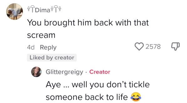 Steve the lazy horse's rude awakening is the viral clip (clop) you didn ...