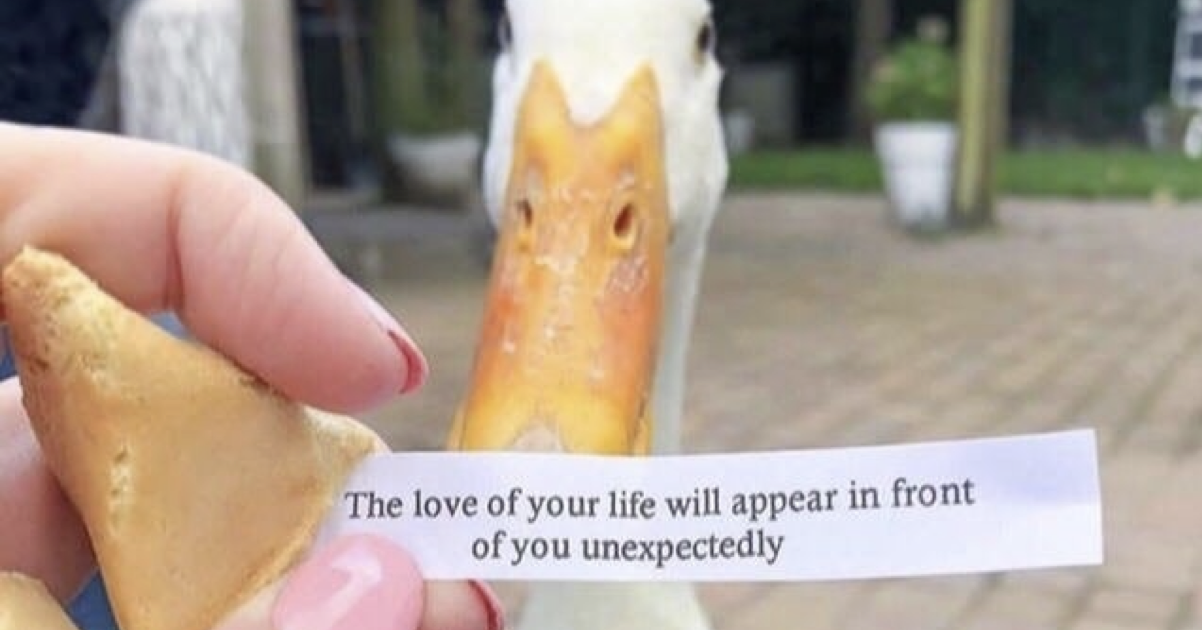 17 of the funniest pictures that went viral on Reddit this week - The Poke