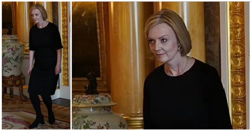 curtsey - The Poke - The Poke