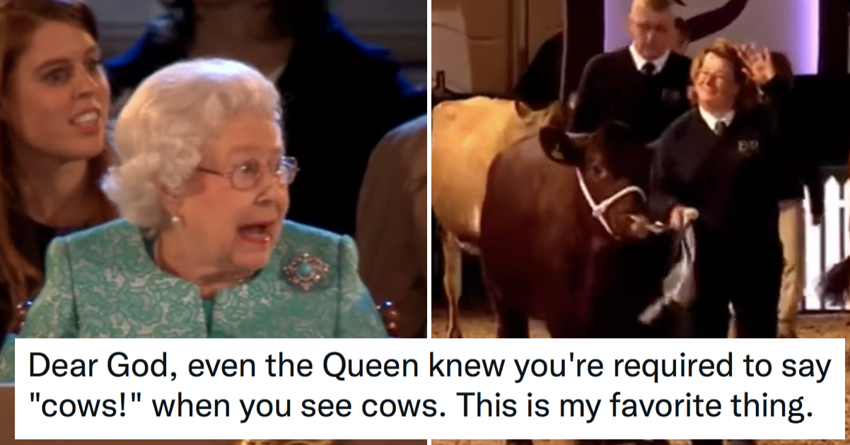 This clip of the Queen spotting some cows is just the 6 seconds of ...