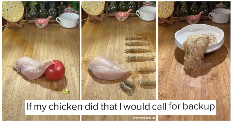 A stop-motion animation of a chicken recipe has got people crying 'fowl ...
