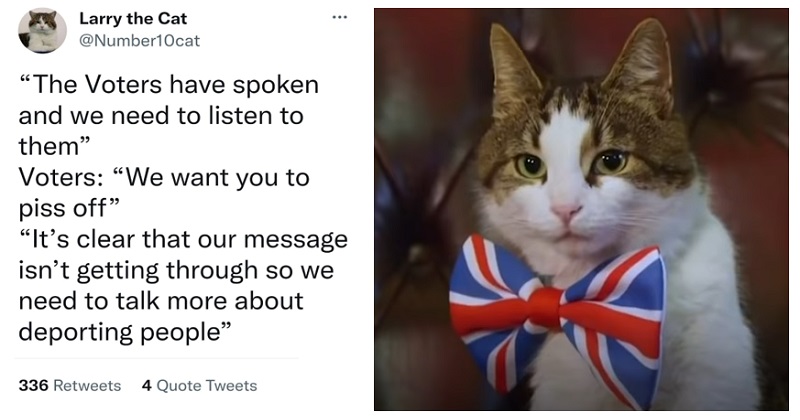 15 times Larry the Cat's Twitter account made UK politics bearable ...