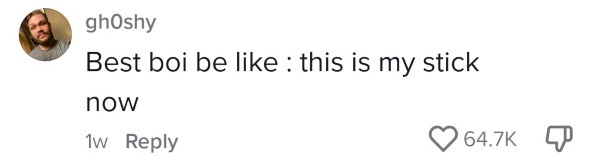 tree - The Poke - The Poke