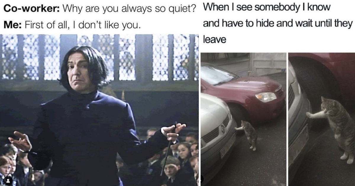 23 of the funniest and most relatable moments from 'Antisocial Memes ...