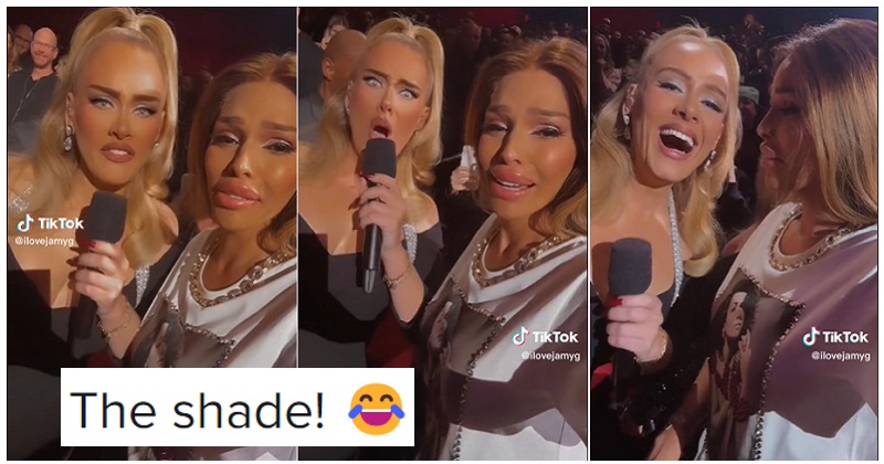 Adele went peak Adele when she spotted a fan using a filter on their joint selfie - The Poke