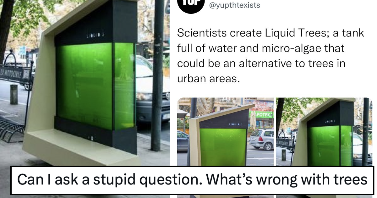 This 'Liquid Trees' idea looks absolutely barking - 19 funniest and ...