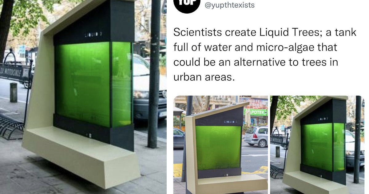 This 'Liquid Trees' idea looks absolutely barking - 19 funniest and ...