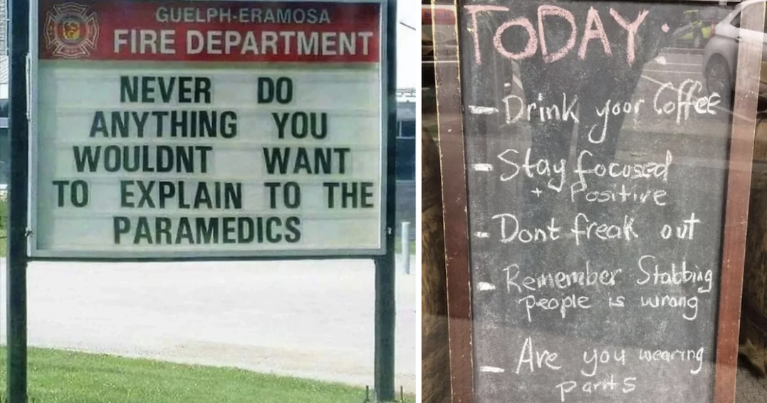 17 fabulously funny pieces of advice that are also a useful life lesson ...