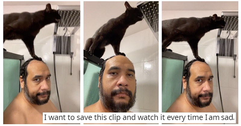 Cat life - summed up in one man's resigned facial expression - The Poke