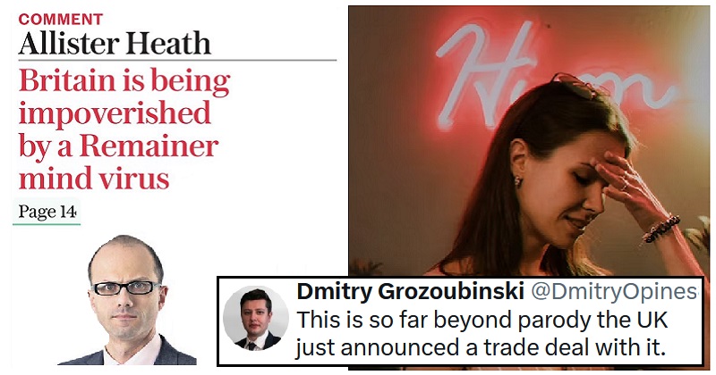18 sick takedowns of the Telegraph's 'Remainer mind virus' column - The ...