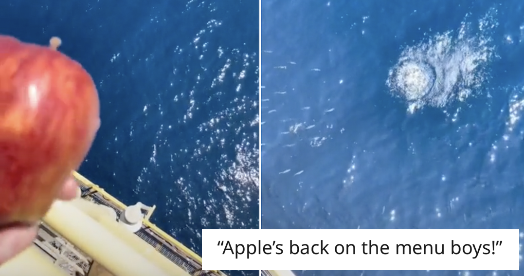 What happens when you throw an apple off an oil rig is proper jaw ...