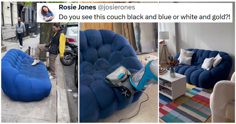 The saga of an abandoned couch has gone wildy viral and these 19 ...