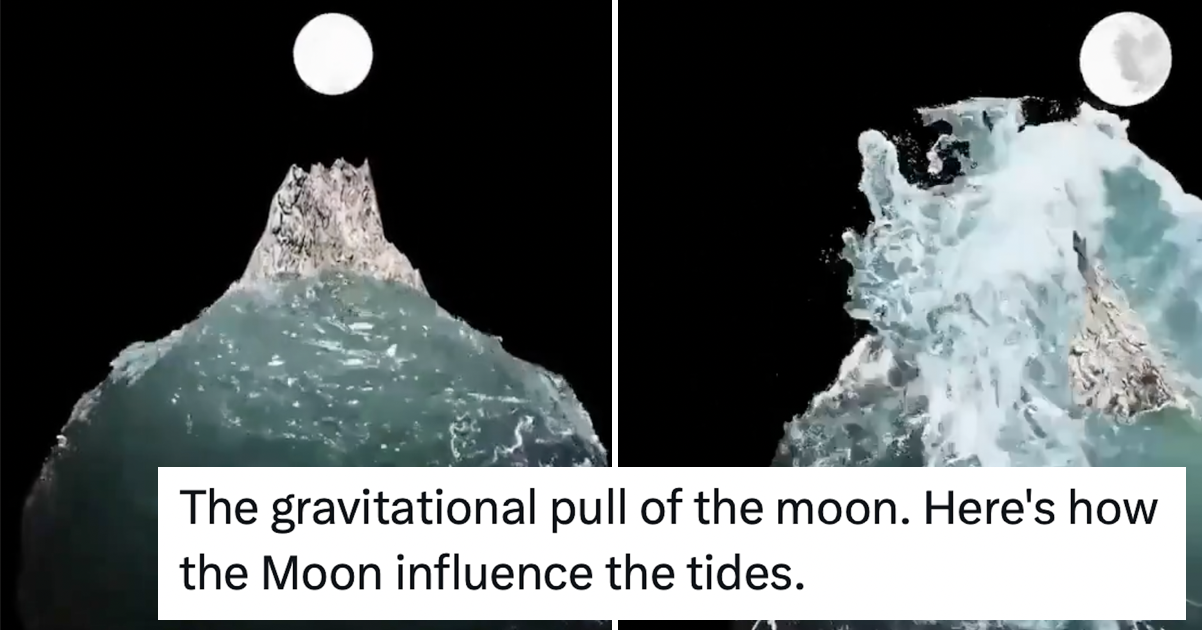 This video of how the moon affects the tides is a fascinating, hypnotic ...