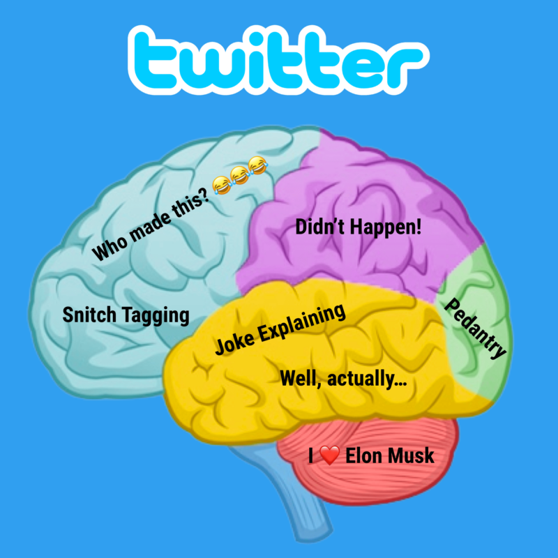 Anatomy of the brains of the worst types of people on social media ...