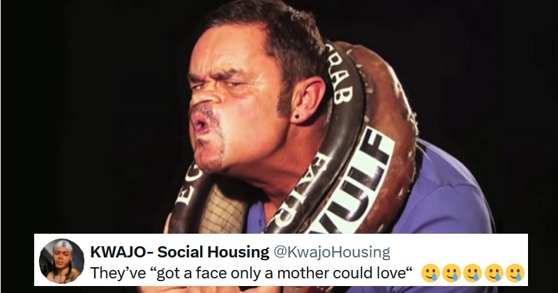 Check out these 19 funny British insults - you never know when you ...