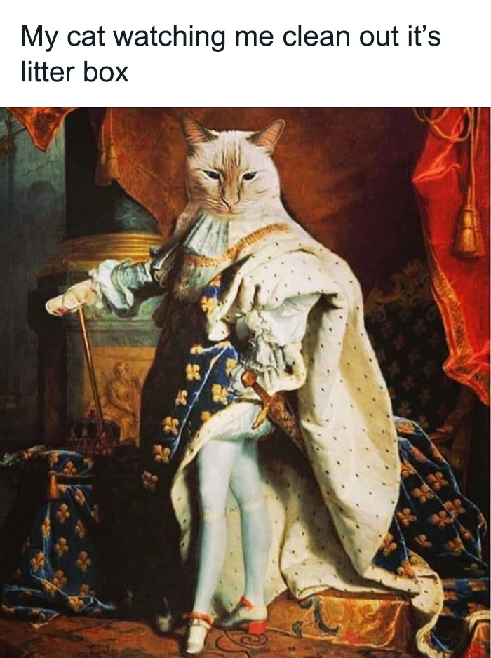 23 fabulously relatable 'classic art memes' that are hilariously up to ...